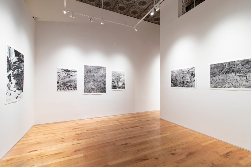 Polemics of the Landscape - Denny Gallery